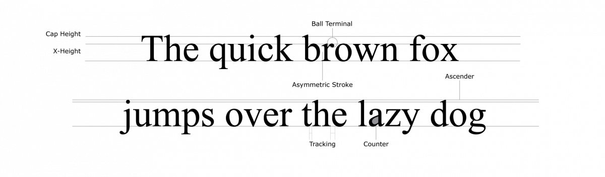 An Analysis on Times New Roman | Type Set - Taylor Hieber Graphics