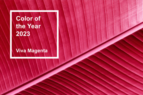 How to Scale UI in Adobe InDesign - Taylor Hieber - InDesign Tutorials